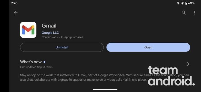How to Fix: Pictures Won't Download from Gmail on Android