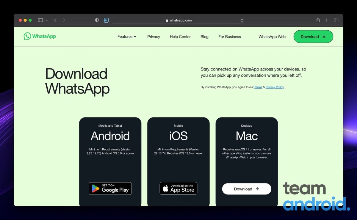 How to Identify Fake Apps on the Google Play Store